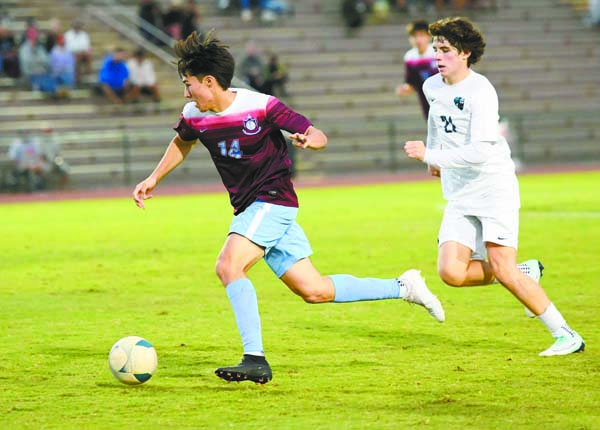 Bears cap unbeaten run through MIL with 3-1 victory over Na Alii | News ...